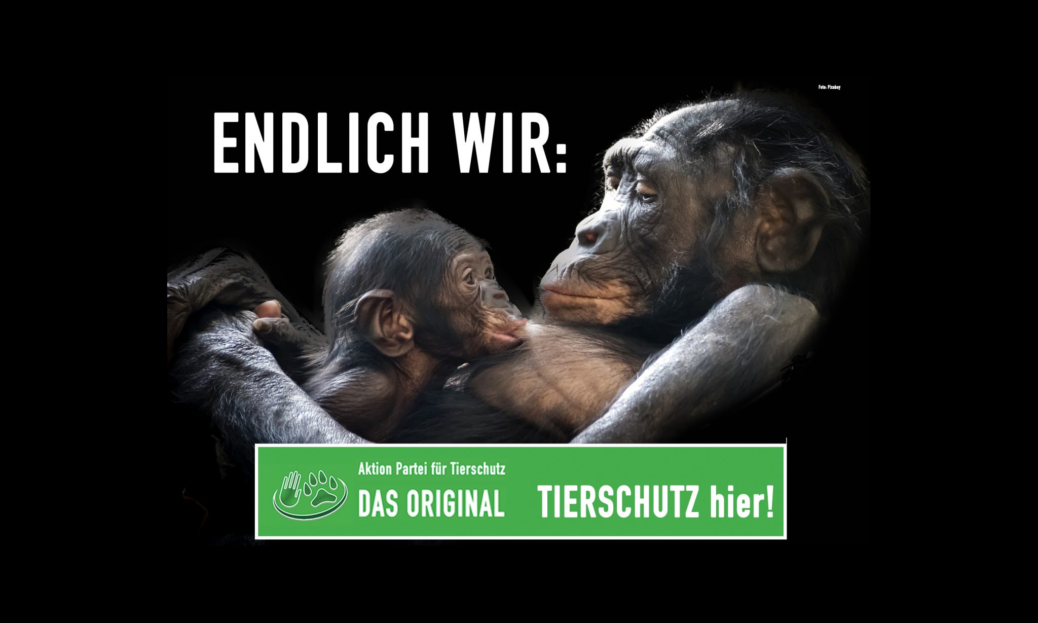 Tierschutz ist wählbar! – Endlich wählbar