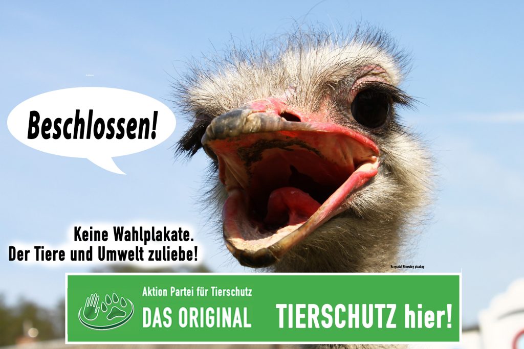Tierschutz erkennt man am Handeln – Endlich wählbar